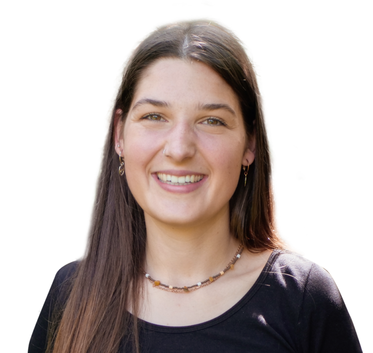 Über uns - Ihr Partner für erneuerbare Energien | Hellweg Wind